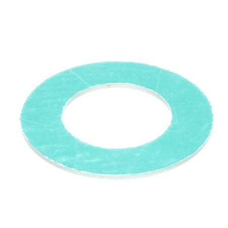 Electro-Steam GASKET , LARGE 0010055 | Zoro