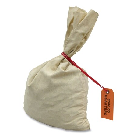 Controltex Canvas Coin Transit Bag, Canvas, 12" x 19", Natural, 1 PK ...