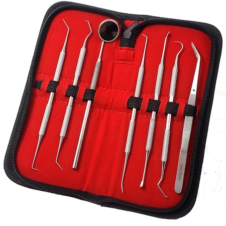A2Z Scilab 7 Pcs Dental Picks Stainless Steel Set with Carrying Case ...
