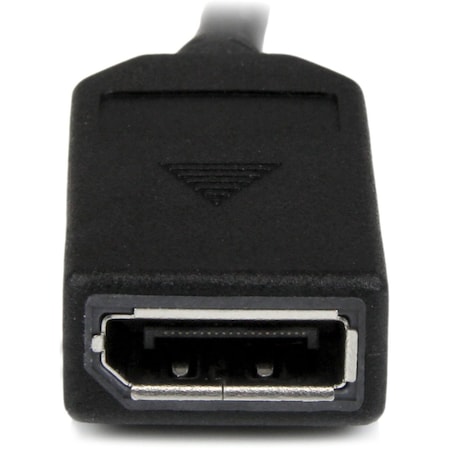 Startech.Com 8in DMS-59 to Dual DisplayPort Cable Adapter - DMS to 2x ...