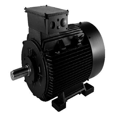 Grundfos Pump Motor, IEC Motors 50Hz/60Hz, IP 55 (TEFC), IE3 (Premium ...