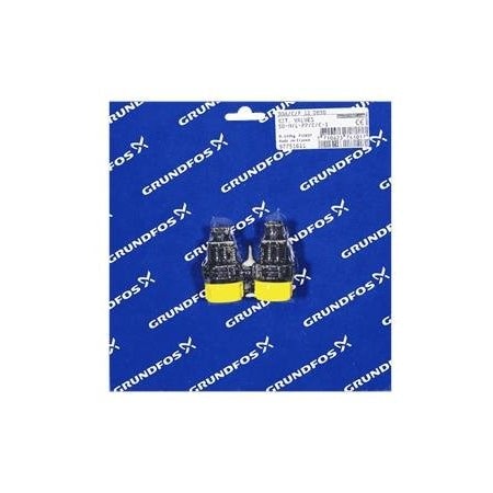 Grundfos Kit, valve SD-M/L-PP/E/C-1 Dosing Pump Kits - Chemical ...