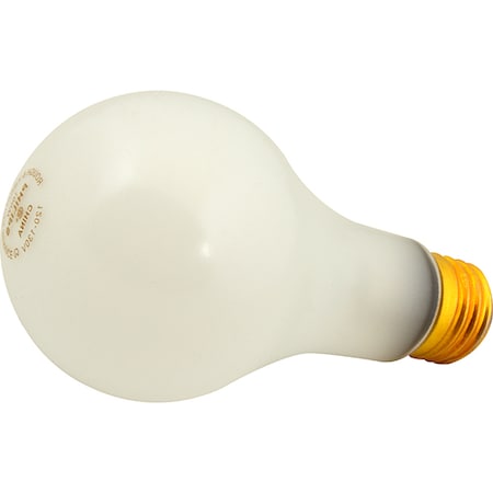 Allpoints Bulb, Shatter Resistant (100W) 2531145 | Zoro