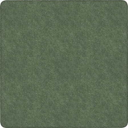 Flagship Carpets Rug, Square, SolidColor, StainResistant, 6ft x6ft Sage ...