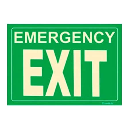 American Permalight Photoluminescent Emergency Exit Rigid PVC Sign, Non ...