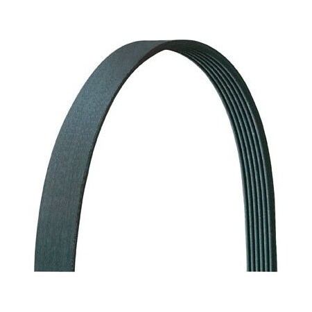 Dayco V-Ribbed, Drive Rite Traditional, 5050390DR | Zoro