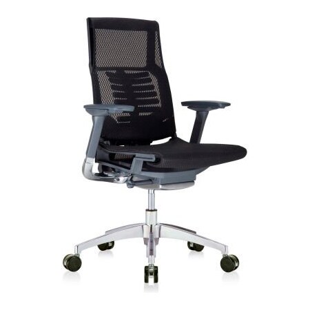 Raynor Marketing Eurotech Powerfit Executive Chair - Black Mesh Seat ...