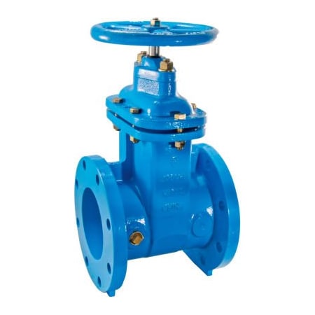 Watts Watts 405-NRS-RW Cast Iron Gate Valve 4 in FLG 0 700105 | Zoro