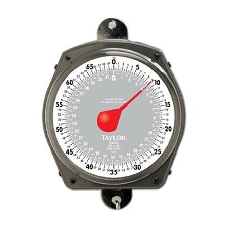 Taylor Precision Products 70LB Ind Dial HangScale 34704104 | Zoro