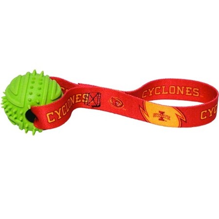 Hunter Iowa State Cyclones Rubber Ball Toss Toy HIAST5151 | Zoro