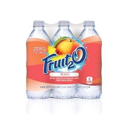 Fruit 20 Fruit2O Peach Bottles 16 oz., PK24 (23229) | Zoro