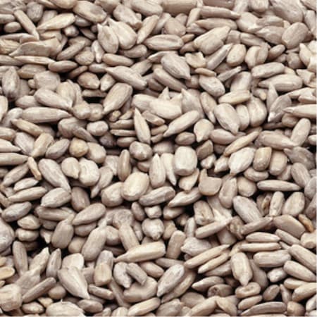 Azar Azar Oil Roasted Salt Sunflower Kernel 10lbs 9611001 | Zoro