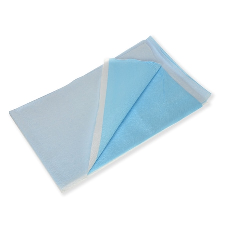Dealmed Stretcher Sheet - 1 Ply, Tissue/Poly, 40"X 90", Blue, 50/Cs ...