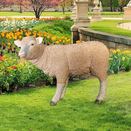Design Toscano Merino Ewe Life-Size Lamb Statue: Standing NE100051 | Zoro