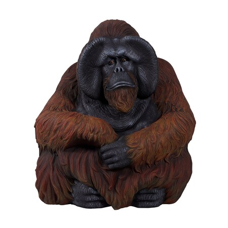 Design Toscano Male Bornean Orangutan Great Ape Statue NE220041 | Zoro