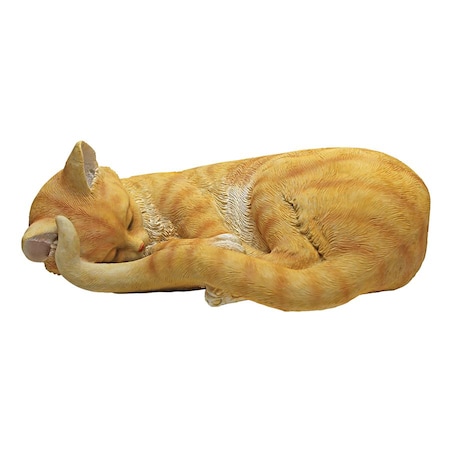 Design Toscano Cat Nap Sleeping Kitten Statue QM124371 | Zoro