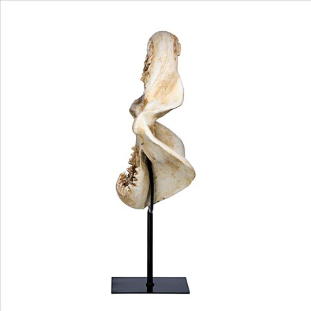 Design Toscano Shark's Jagged Jaws Statue SD1130959 | Zoro