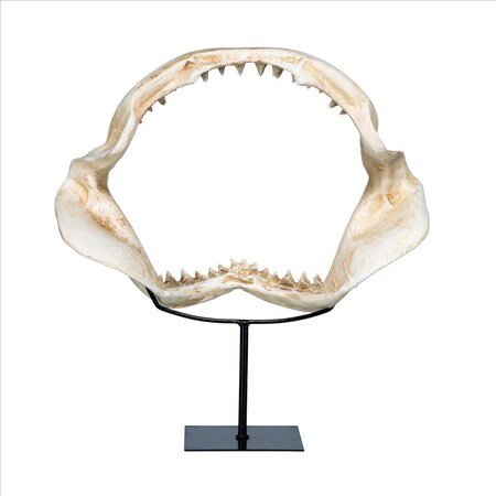 Design Toscano Shark's Jagged Jaws Statue SD1130959 | Zoro