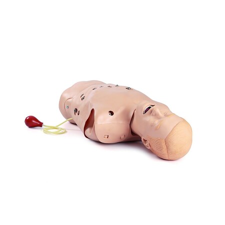Laerdal 12 Lead Trainer 260-20001 | Zoro