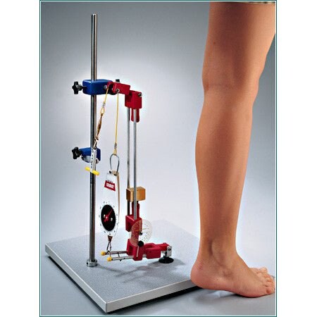Denoyer-Geppert Anatomical Model, Biomechanical Arm & Leg Kit 0650-15 ...