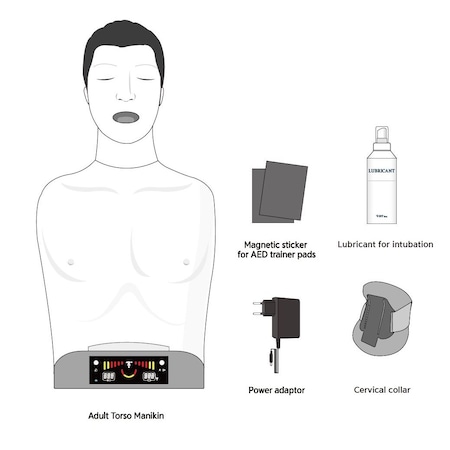 Bt Manikin, CPR & Airway Management Training Model SEEM-AIR | Zoro