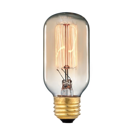 Elk Lighting Filament Bulb - Gold, 60 Watts, A19 E26 Medium Base 1102 ...