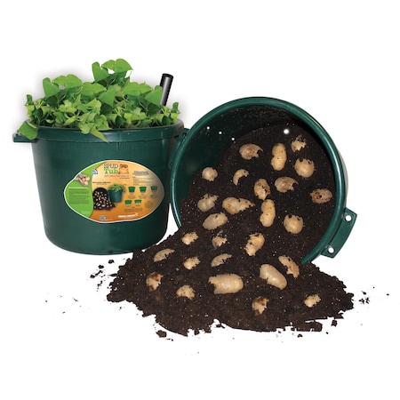 Emsco Group Spud Tub Potato Grow Kit, Works Great on Decks and Patios ...