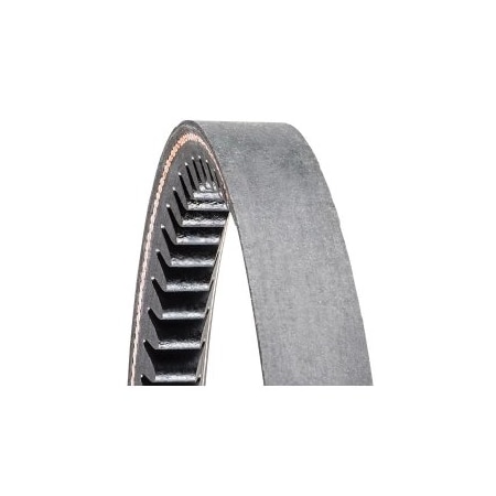 Timken Belts Gold-Ribbon Cog-Belt Heavy Duty V-Belt, AX Section, 0.5 in ...