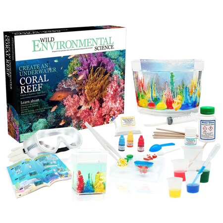 Wild! Science Wild Environmental Science - Create an Under Water Coral ...