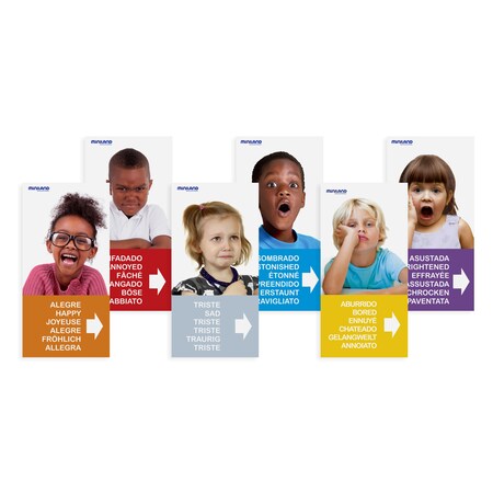 Miniland Educational Emotiblocks, Interchangable Emotion Blocks, 18 ...
