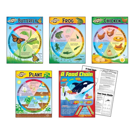 Trend Enterprises Life Cycles Learning Charts Combo Pack, Set of 5 ...