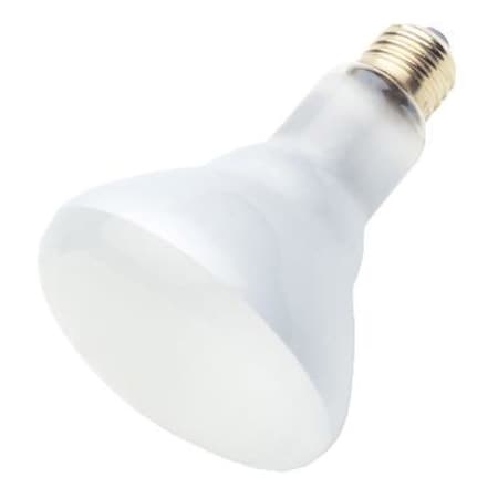 Westinghouse BULB BR30 65W 6PK 5146 | Zoro