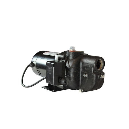 Wayne Wayne 1/2 HP 711 gph Cast Iron Shallow Jet Well Pump SWS50 | Zoro