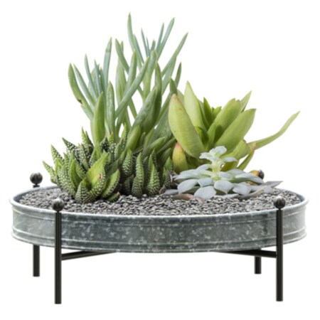 Panacea SUCCULENT TRAY/STND 16"D 83302 | Zoro