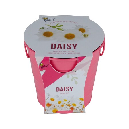 Buzzy Seeds Buzzy Daisy Grow Kit 95715 | Zoro