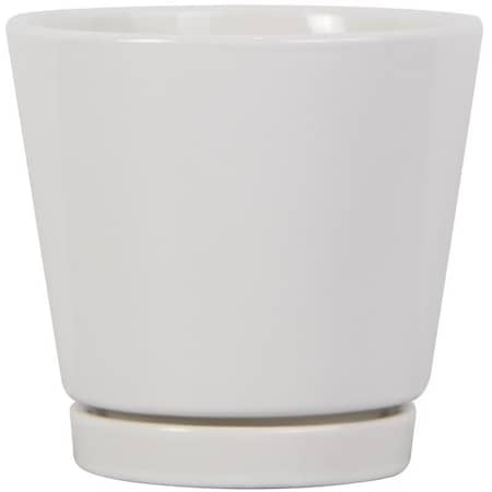 Trendspot Trendspot 4 in. H X 4 in. W X 4 in. D Ceramic Knack Planter ...