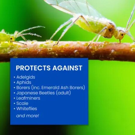 Bayer BioAdvanced 12 Month Tree and Shrub Protect & Feed Concentrate 32 ...