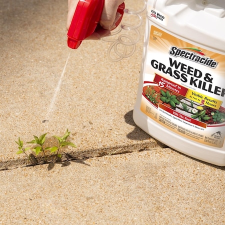 Spectracide Spectracide Weed and Grass Killer RTU Liquid 1 gal HG-96017 ...