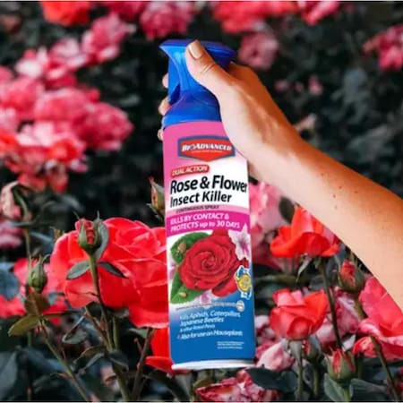 Bayer BioAdvanced Dual Action Rose and Flower Insect Killer Continuous ...