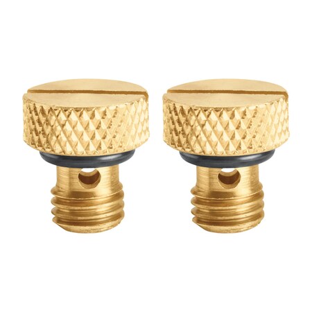 Orbit Bleed Screw Brass 2Pk 57068 | Zoro