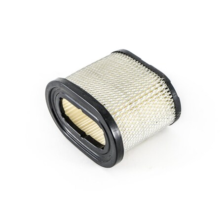 Arnold Arnold Air Filter For 697029/498596 BAF-126 | Zoro