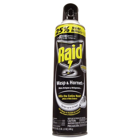 Raid Raid Wasp and Hornet Killer Spray 17.5 oz 51367 | Zoro