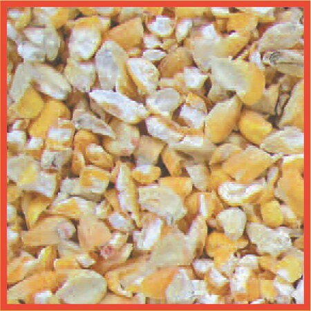 Coles Cole's Assorted Species Cracked Corn Wild Bird Food 10 lb CC10 | Zoro