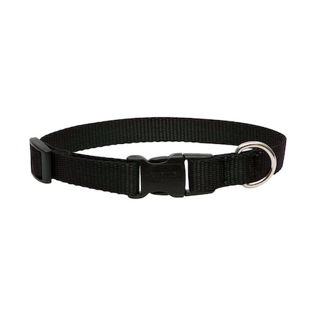 Lupine LupinePet Basic Solids Black Black Nylon Dog Adjustable Collar ...