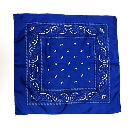2 Bandanas Starr Design Group Paisley Bandana Set Red and Blue ...