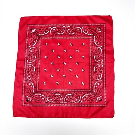 2 Bandanas Starr Design Group Paisley Bandana Set Red and Blue ...