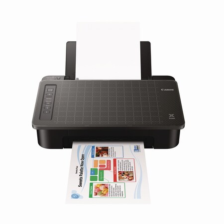 Canon PIXMA TS302 Wireless Inkjet Printer 2321C002 | Zoro