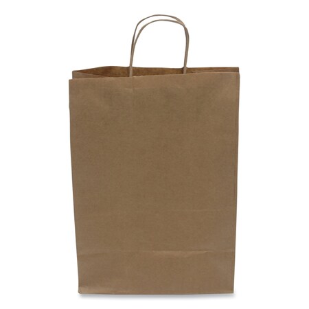 Kari-Out Paper Bags, Standard-Duty, Natural Kraft, 250 PK 1200110 | Zoro