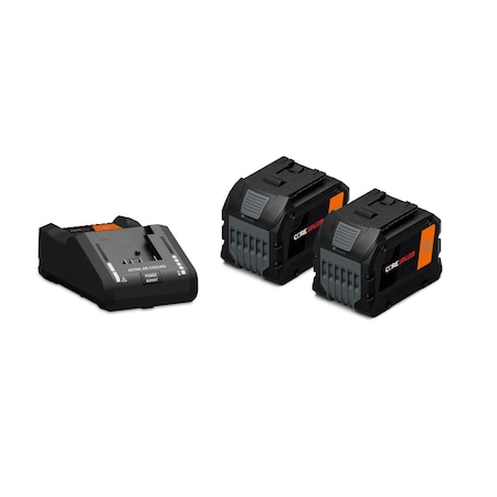 Fein Battery starter set CORE 18 V 12.0 Ah AMPShare 2 batt + Charger ...