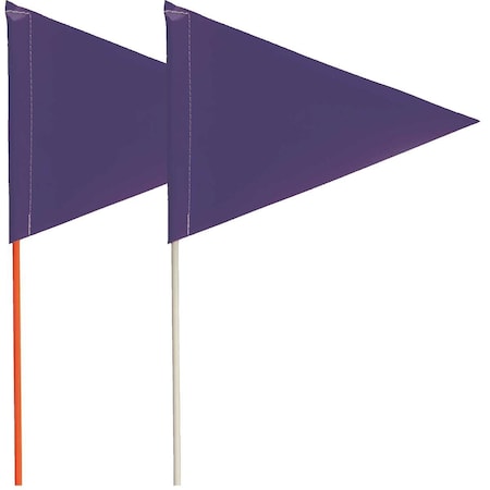 Blackburn Flag Blackburn Pennant Marking Flag with Fiberglass Staff ...